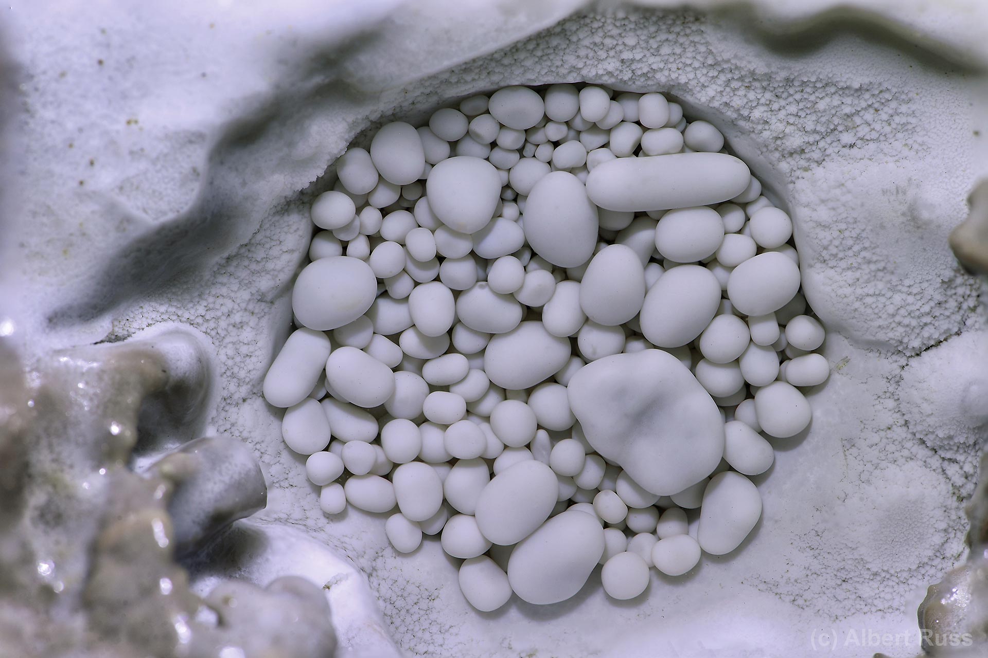 Albert Russ - Mineral Photographer Interview